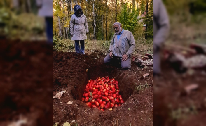 Van’da toprağın altındaki saklı Elma’s: SĚVĚ ÇALĚ! - Şehrivan | Van ...