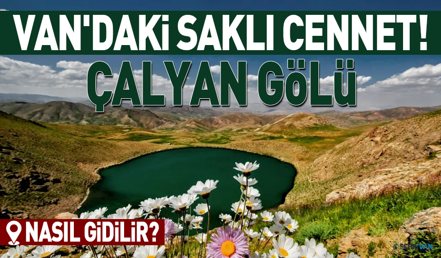 Van'daki saklı cennet: Çalyan Gölü! Peki, oraya nasıl gidilir ...